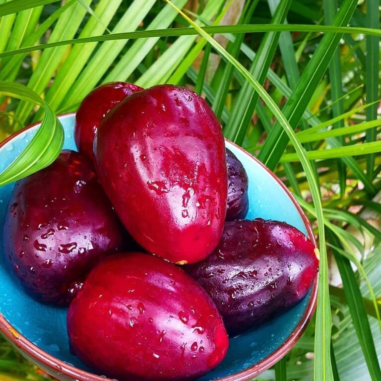 Jamaican Apple (Otaheite): Everything You Need to Know
